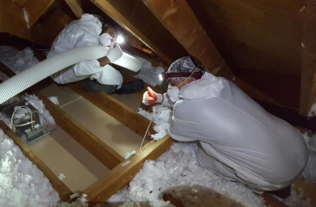 Insulation Pros | Services | Insulation Removal | 913-609-9832