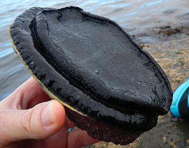 Fresh is Best | Products