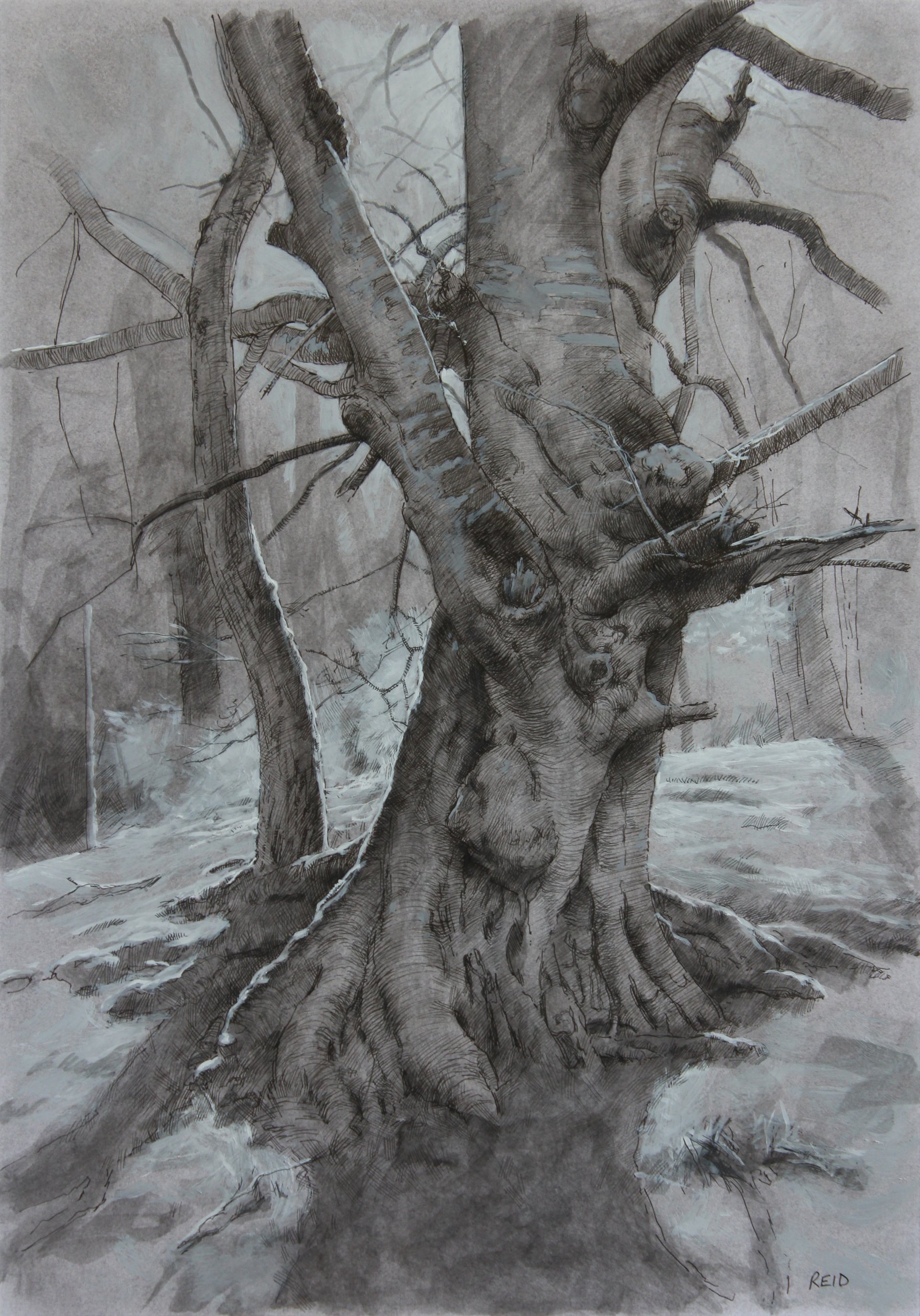 Landscapes by Paul Reid.