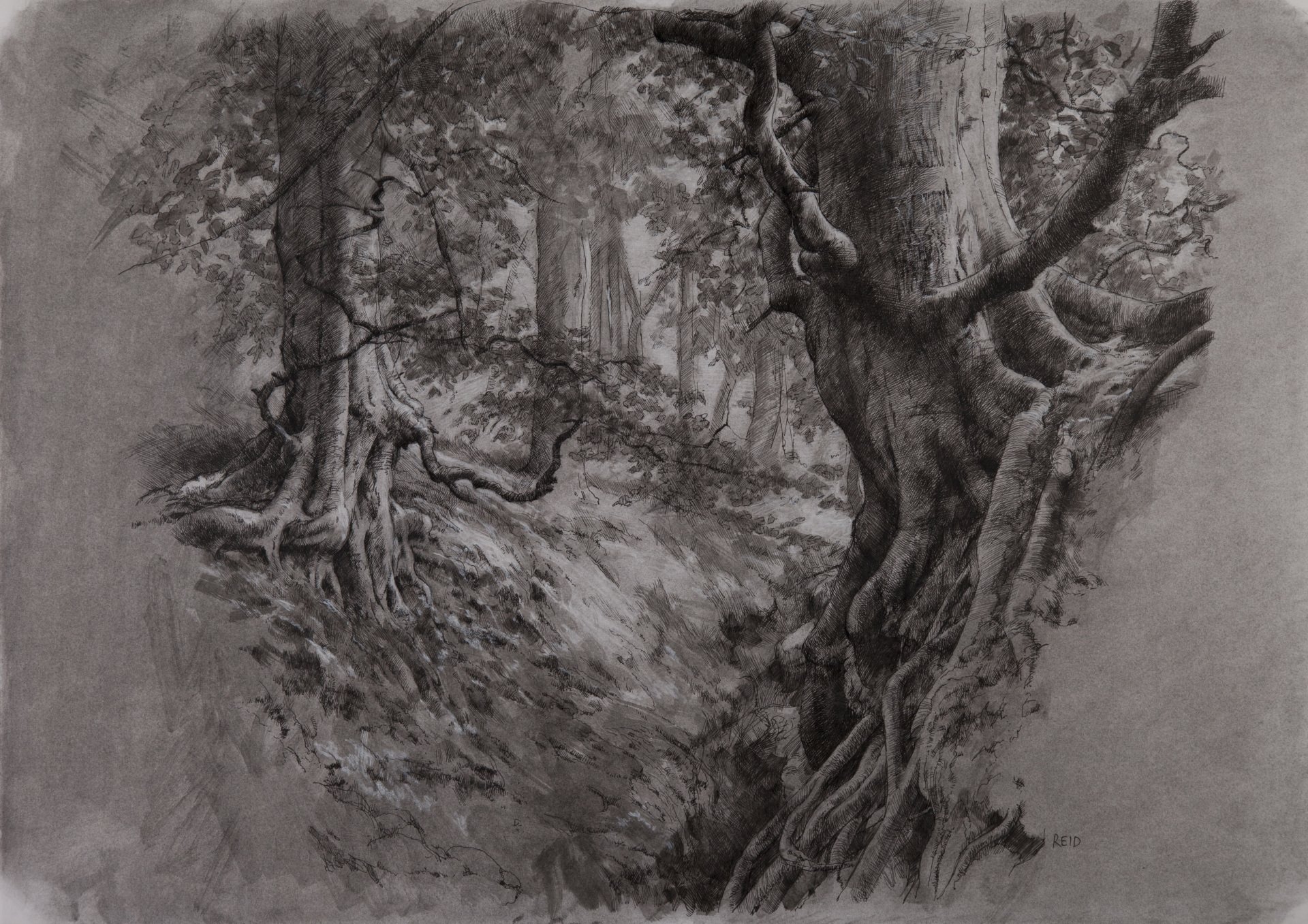 Landscapes by Paul Reid.
