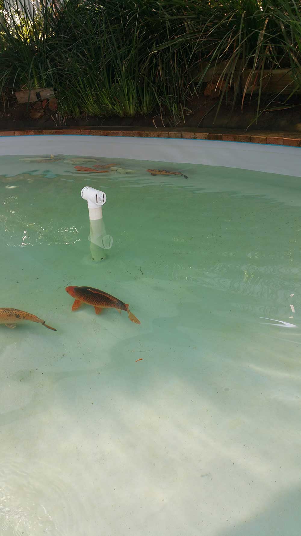 Customised Ponds | Perth