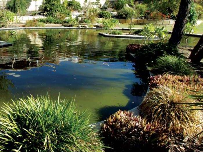 Domestic Pond Liners in Perth | West Coast Swimming Pool Liners