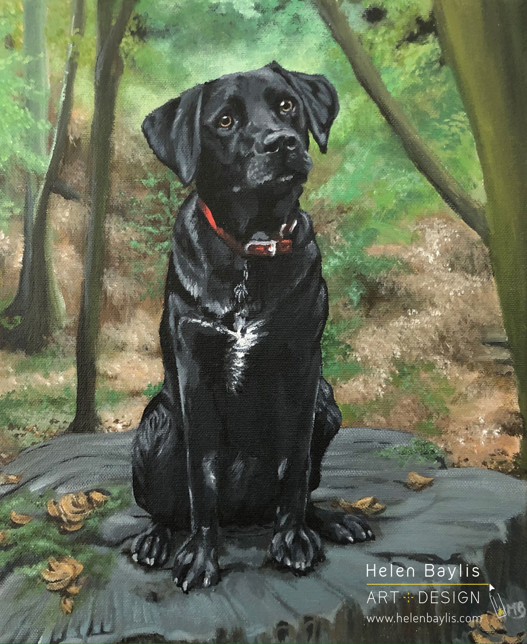 Helen Baylis Design. Graphic Design and Art.