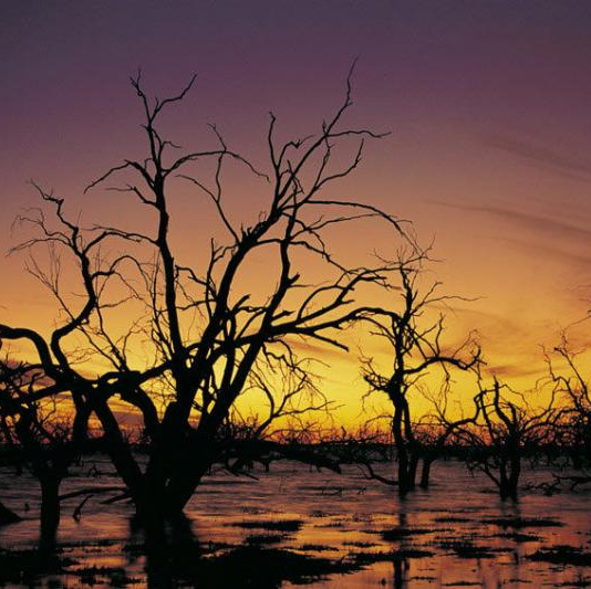Silver City Tours Broken Hill