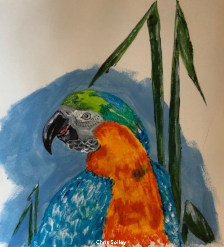 Canterbury Society of Art