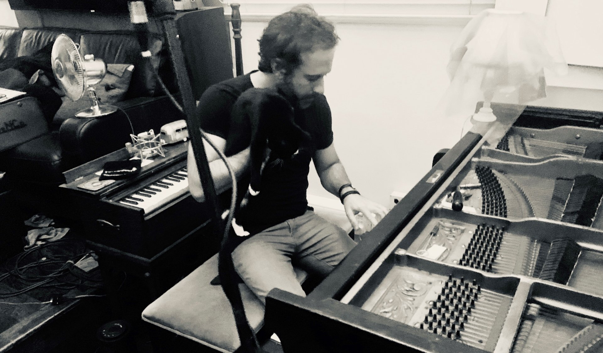 Paul Canning | Gallery