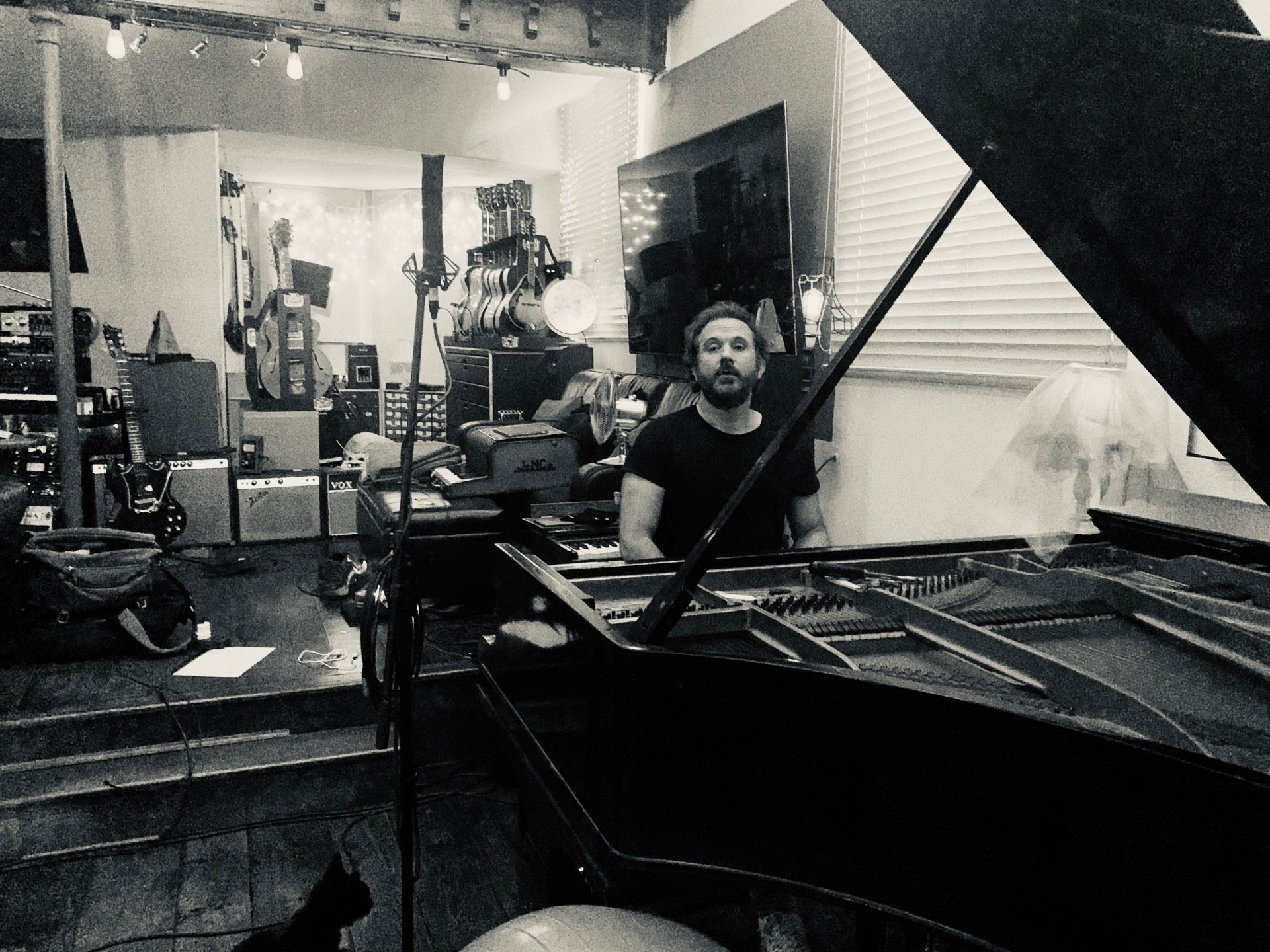 Paul Canning | Gallery