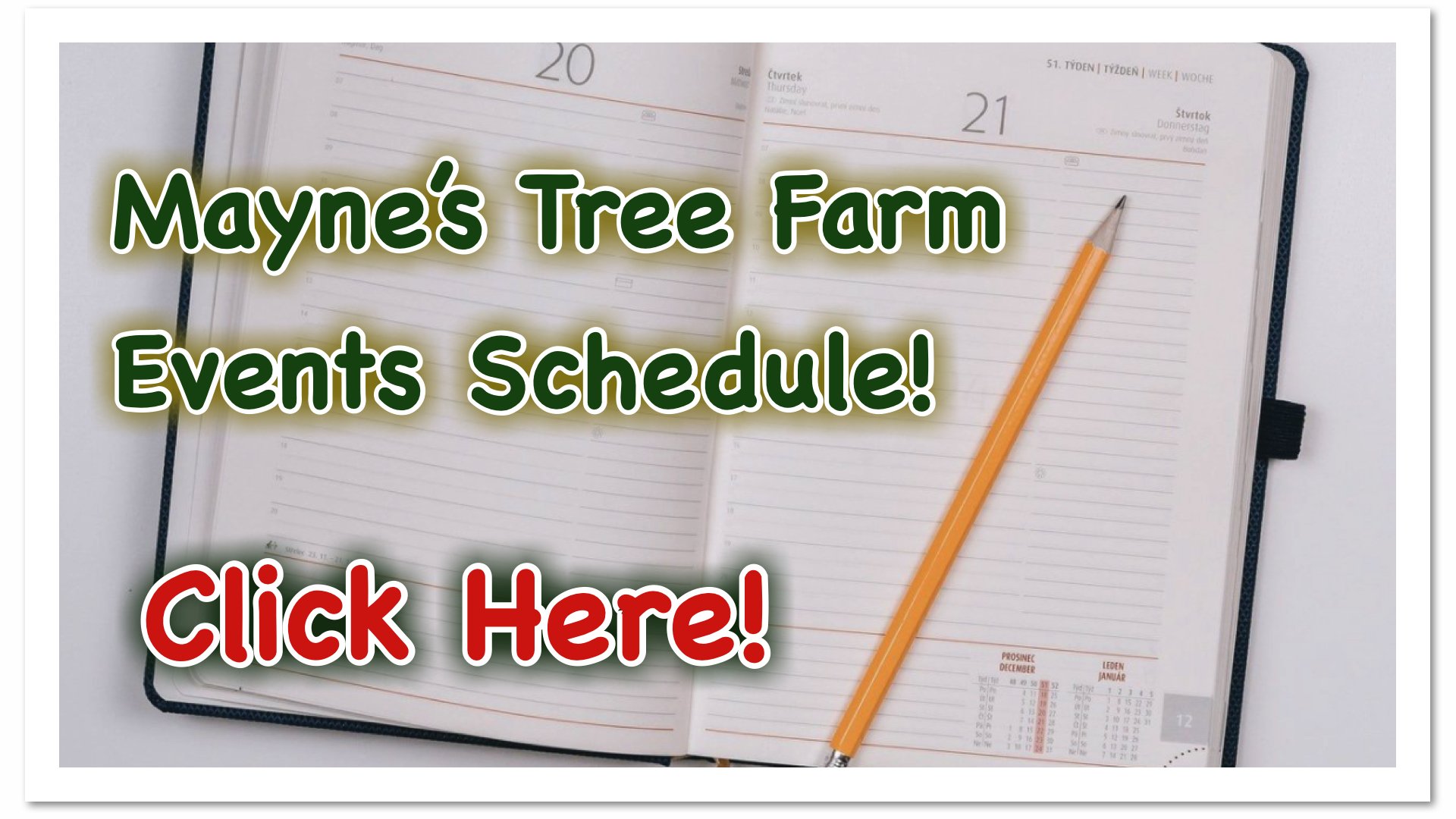 Mayne's Tree Farm