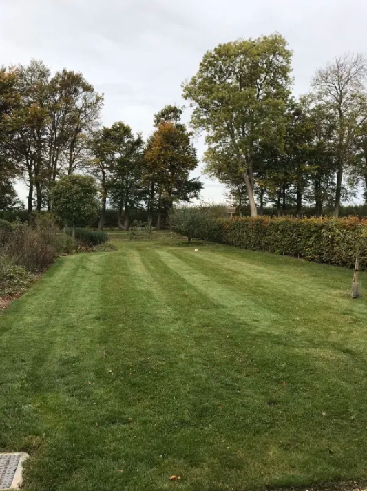 Gardening Services in Eastleigh - Greenkeeper Lawns