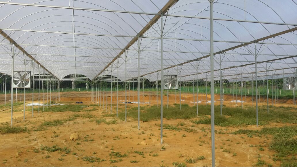 Farming & Irrigation Projects MY | Nong You Technology