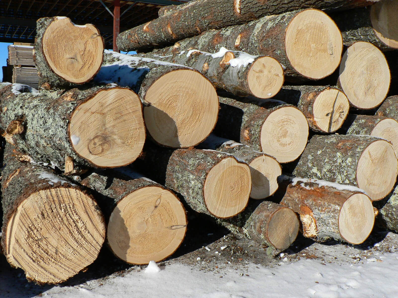 Nickel Lake Lumber | Gallery of Ontario Lumber Products