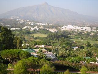 Marbella River Gardens | Gallery