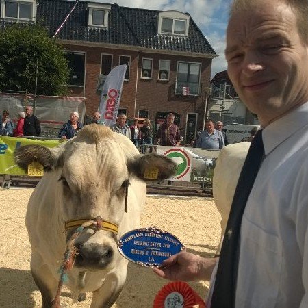 Welkom op de Ruijsbossche Hoeve voor Eerlijk Piemontese Rundvlees