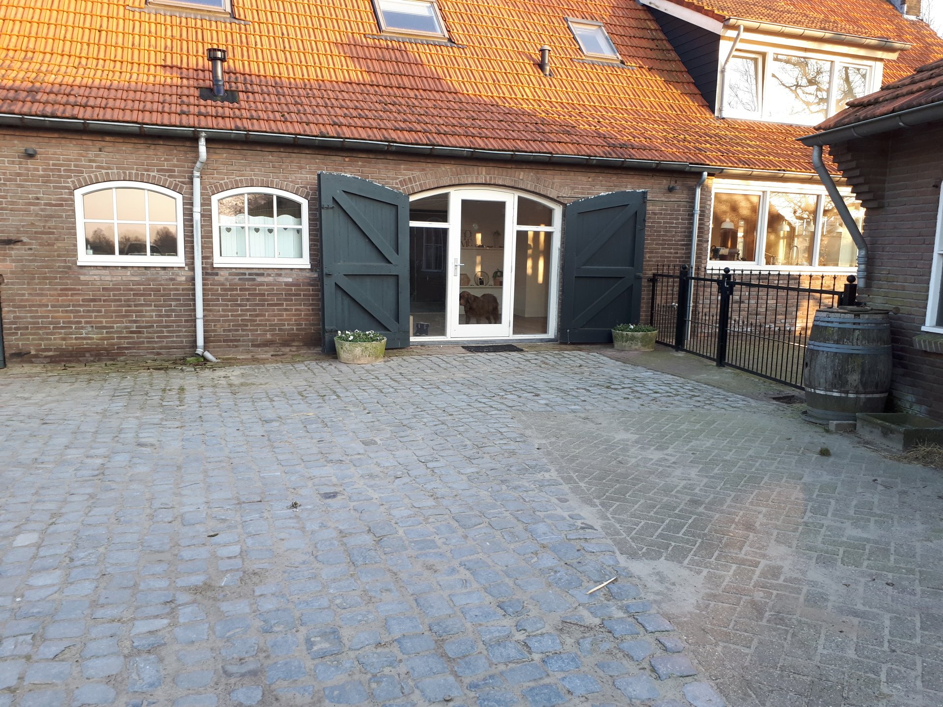 Welkom op de Ruijsbossche Hoeve voor Eerlijk Piemontese Rundvlees