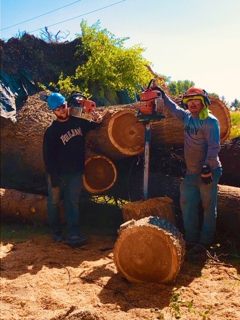 Tree Care Specialists | Jerome, ID | 4 Seasons Tree Service