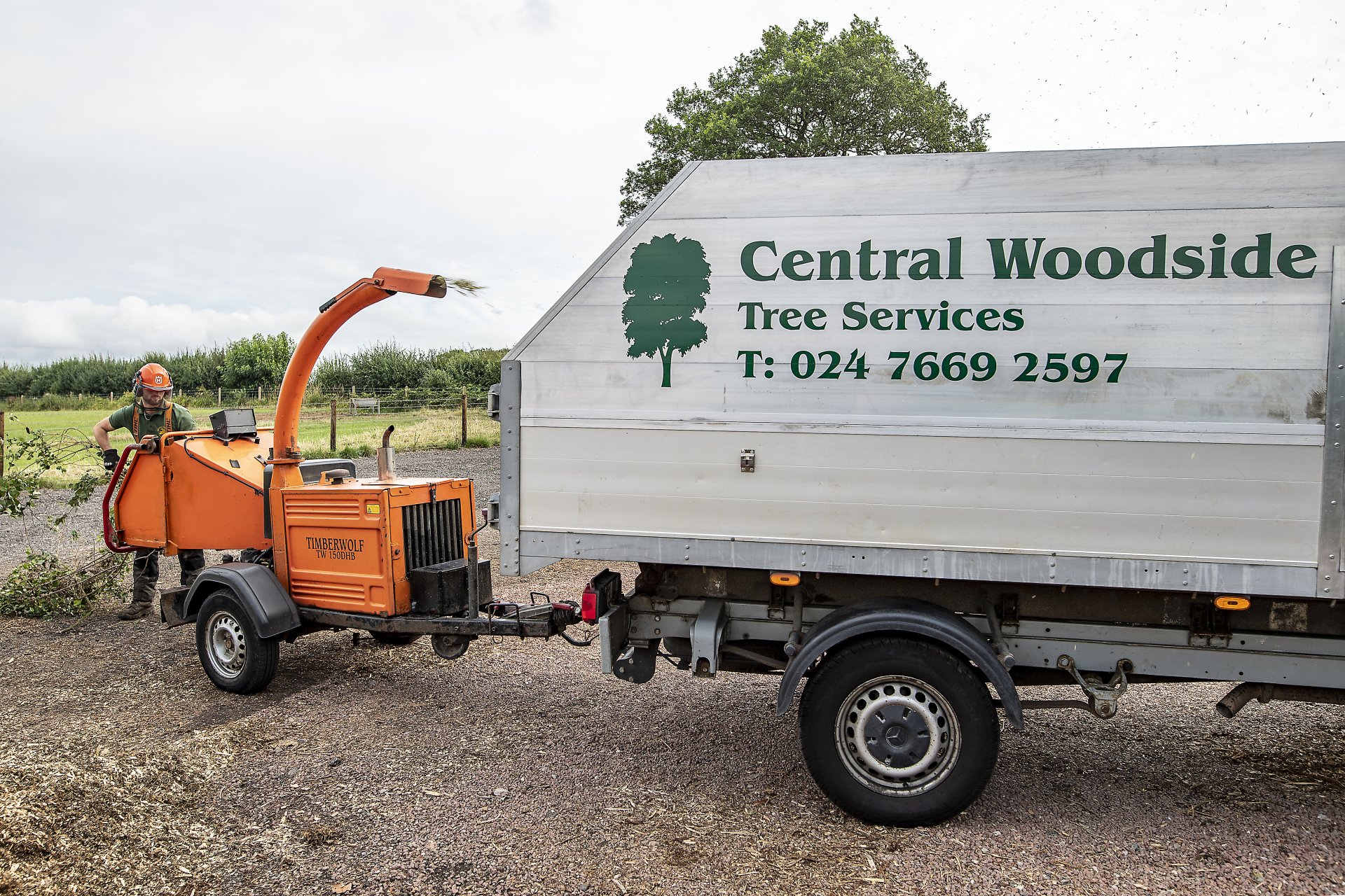Tree surgeons | Central Woodside Tree Services | Coventry