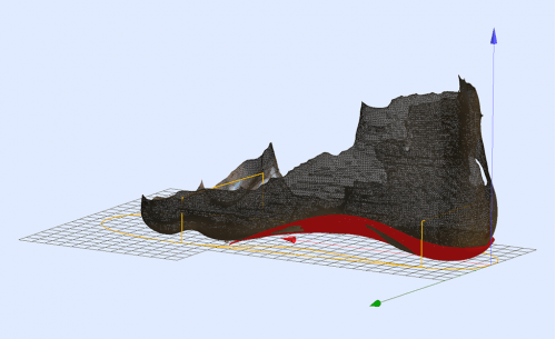 The Foot Sciene Clinic | Orthotic Therapy