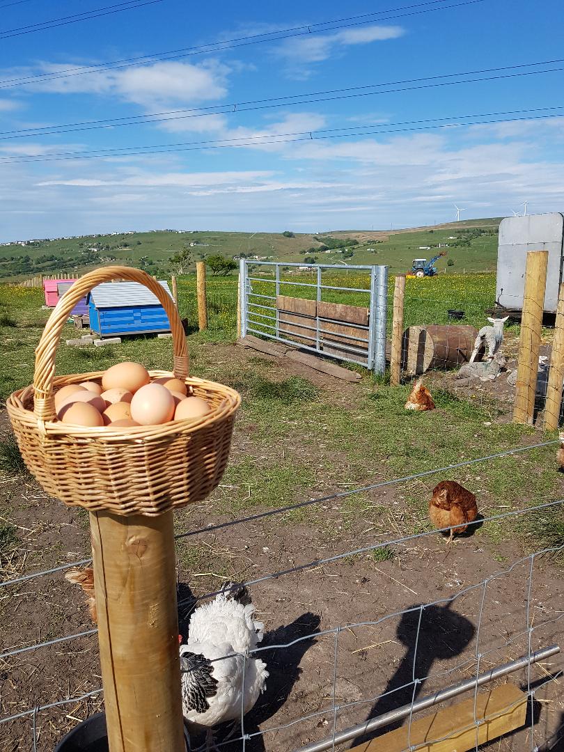 Hoddlesden Farm
