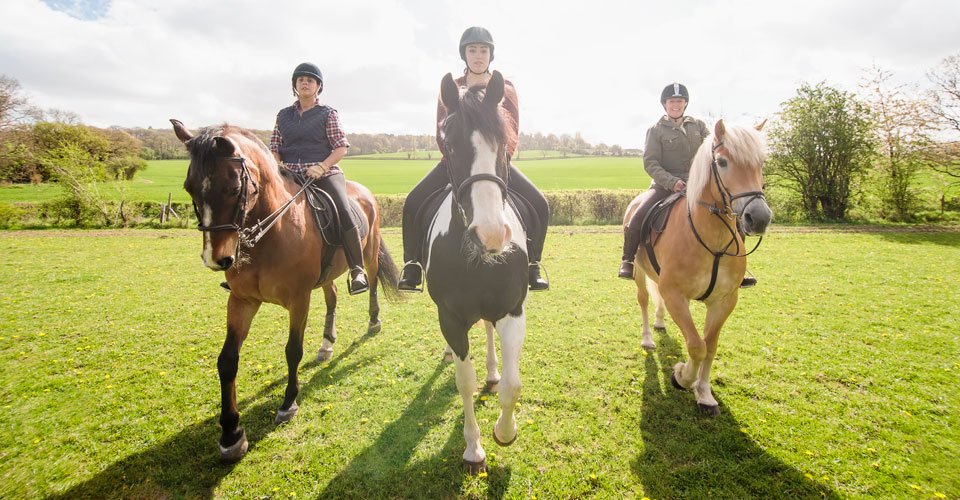 Bank Farm Riding School – learn to ride in Stockport