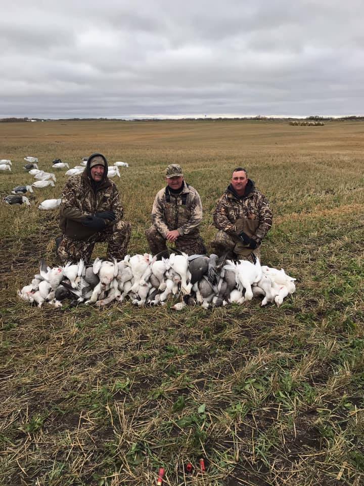 Canada Goose Hunts - Guided Waterfowl Hunting in Canada