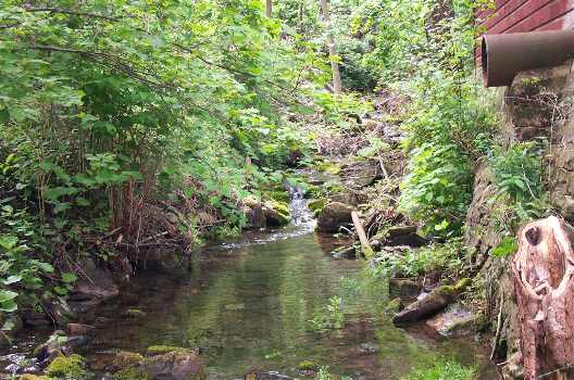 Slab Cabin Run Erosion