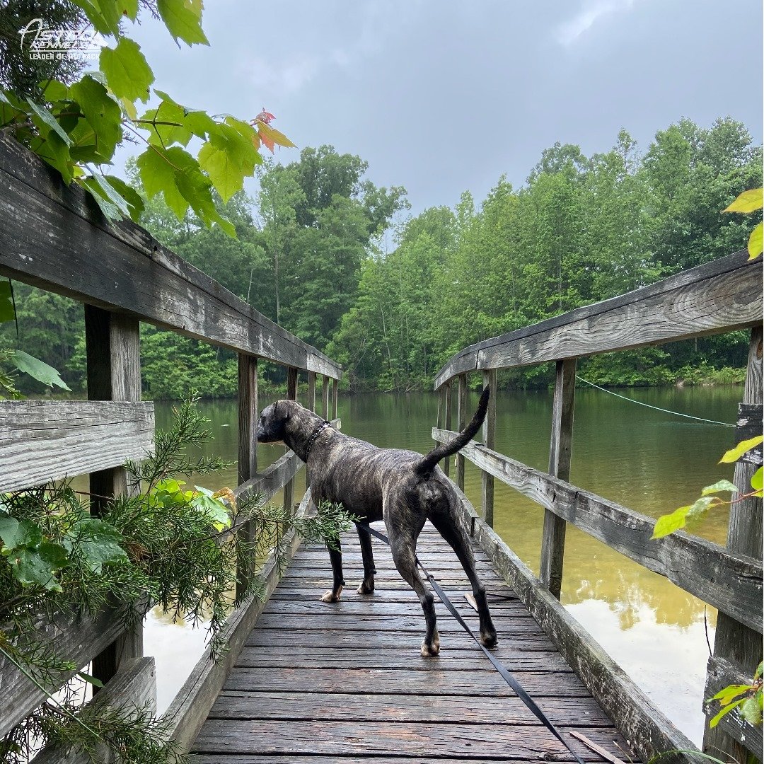 Wilderness Adventure