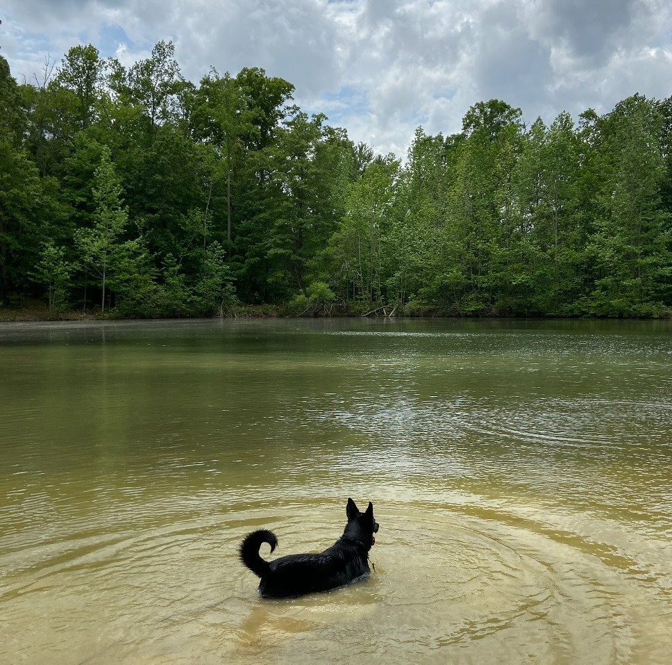 Wilderness Adventure