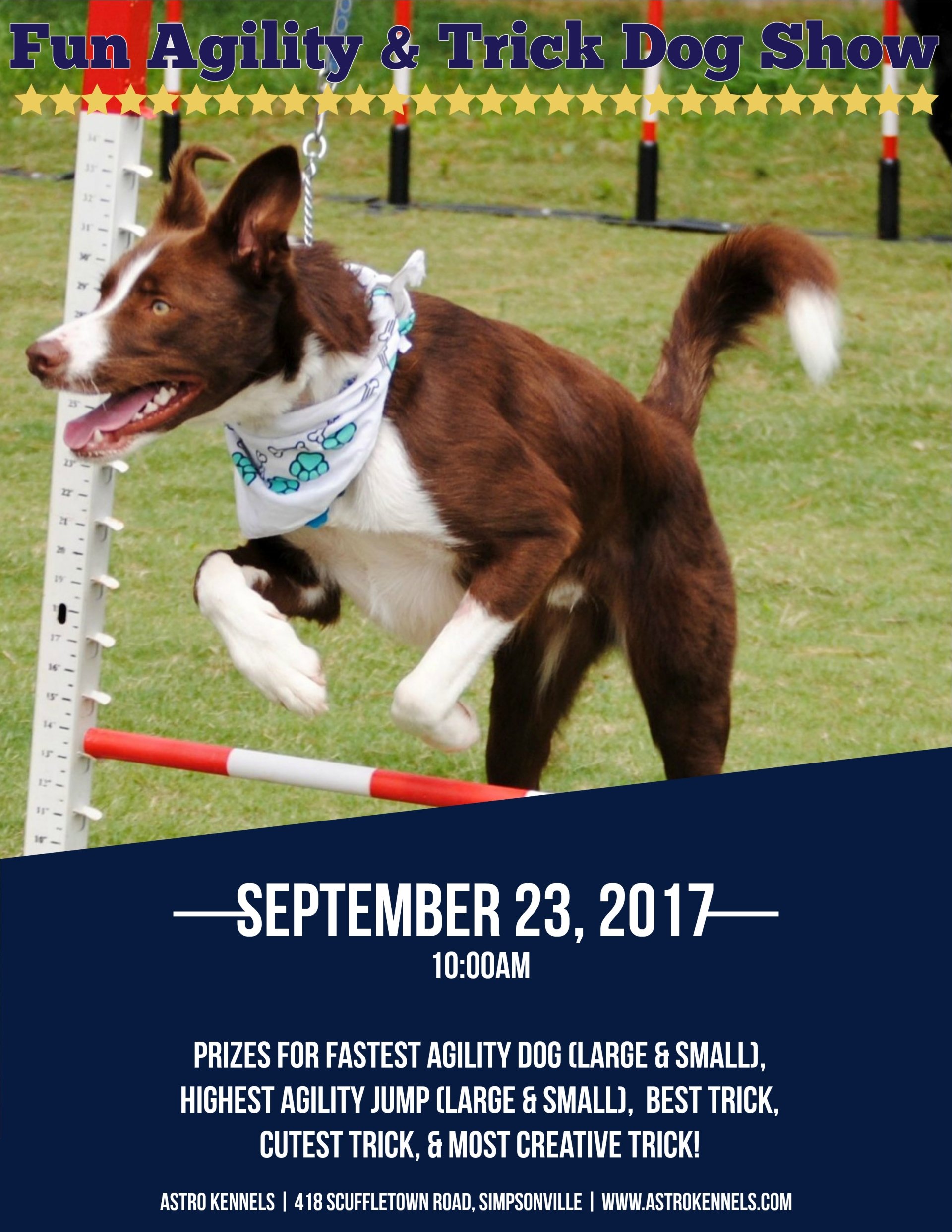 Fun Agility & Trick Dog Show! Astro Kennels