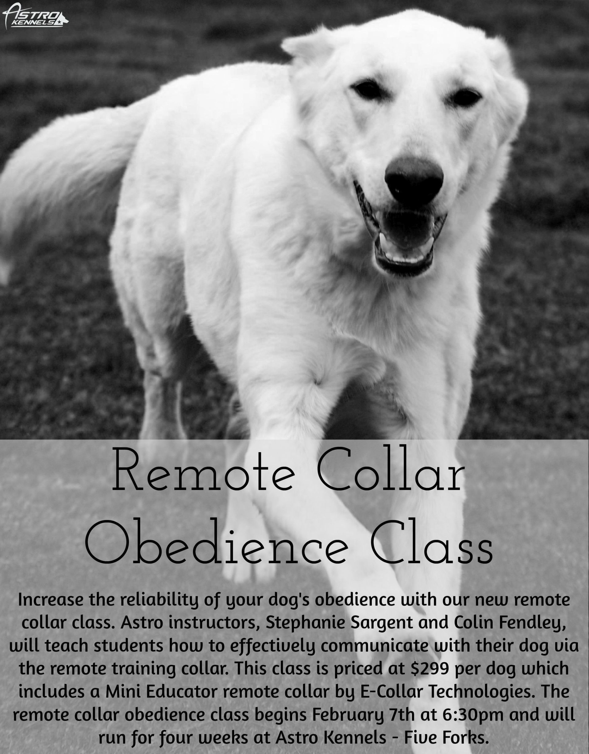 *New* Remote Collar Obedience class!