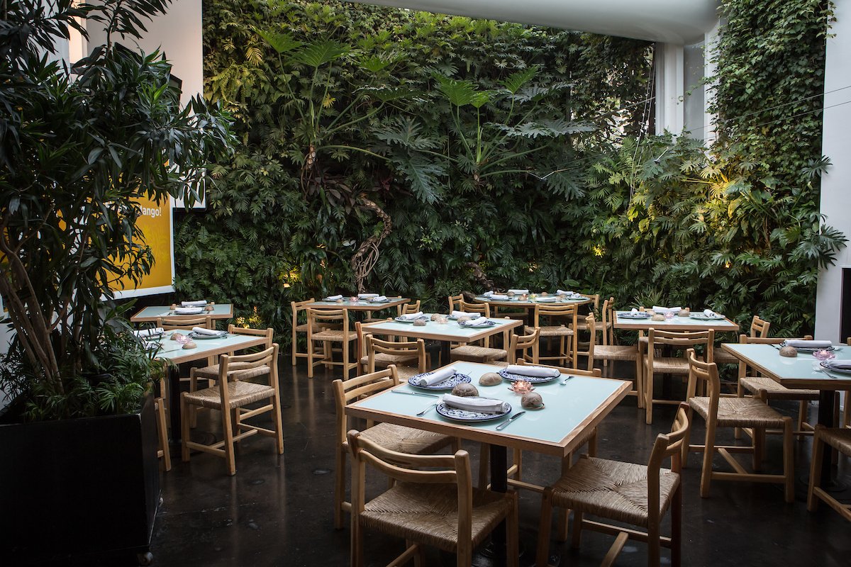 Azul Condesa Restaurante | Cocina Tradicional Mexicana