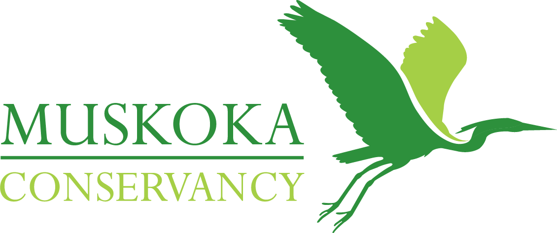 Muskoka Conservancy | Home