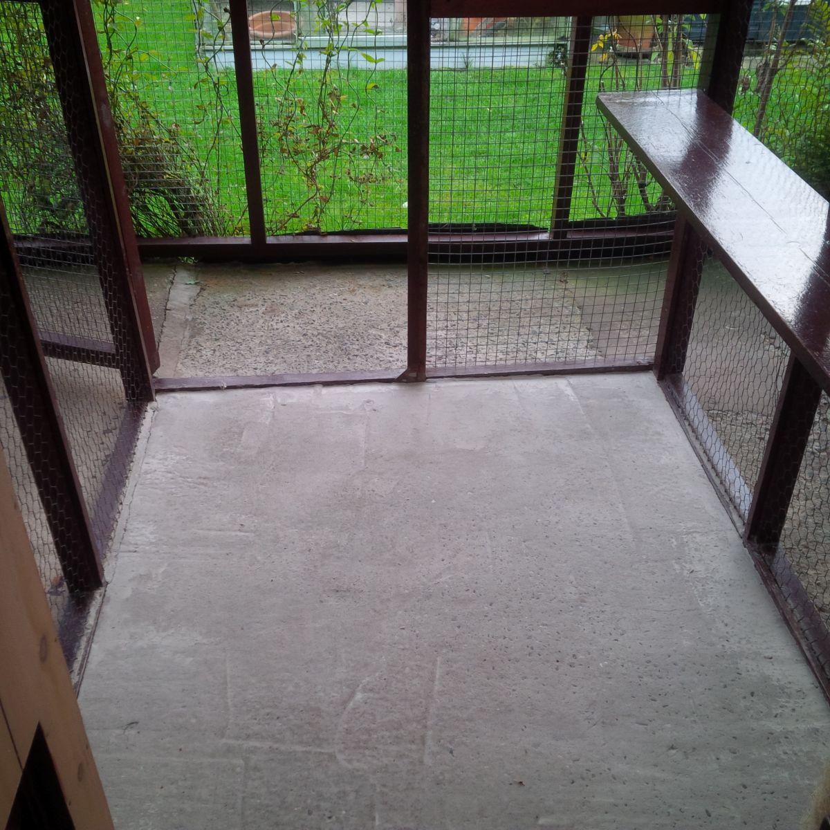 Cat chalet, Highfield Cat Hotel