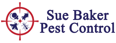 For rat and mouse control, contact Sue Baker Pest Control