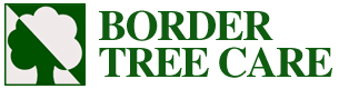 Tree surgery | Border Tree Care