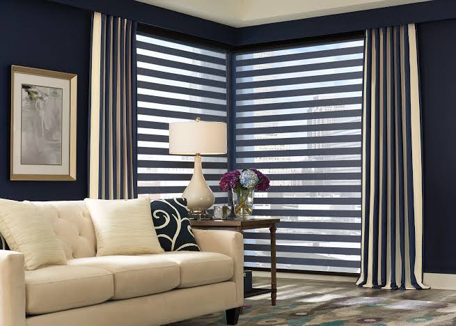 Dual Shade Blinds | Leading Home Deco