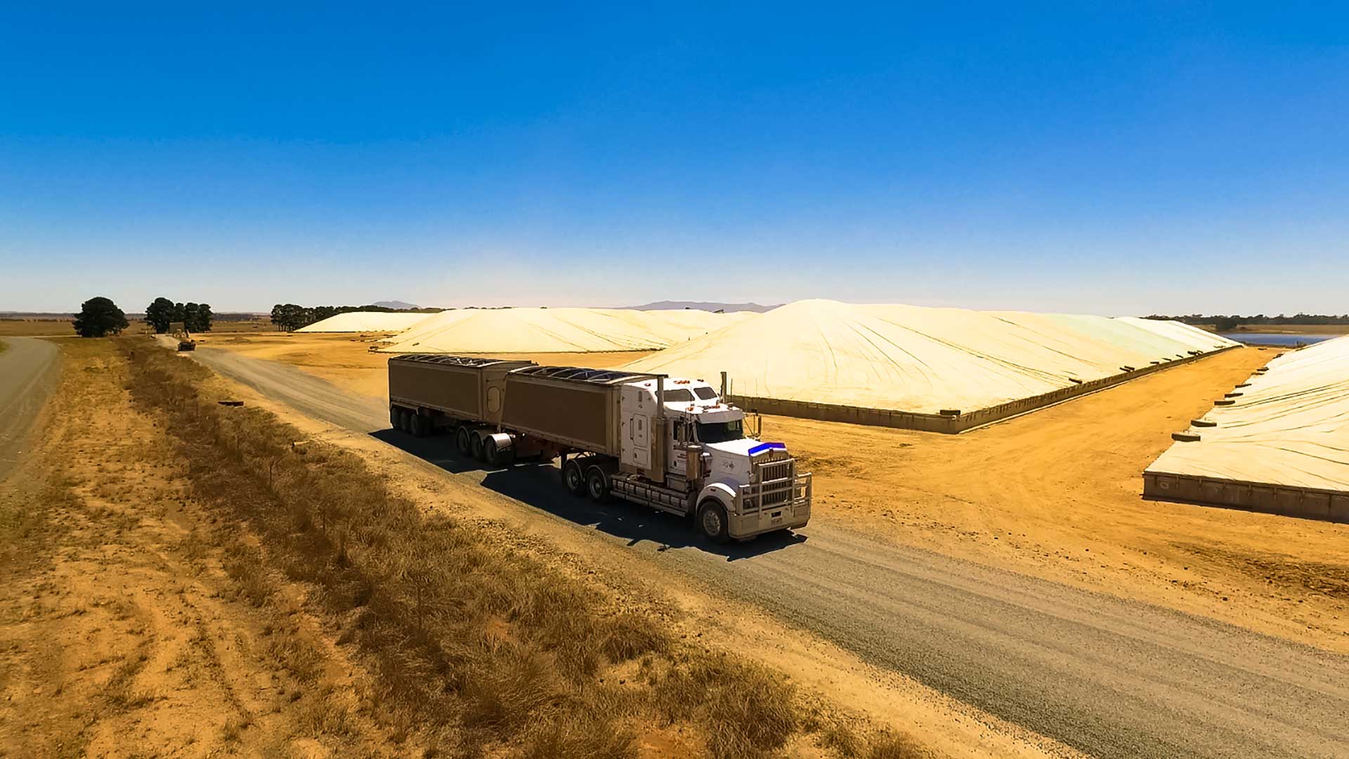 Gallery - CHS Broadbent