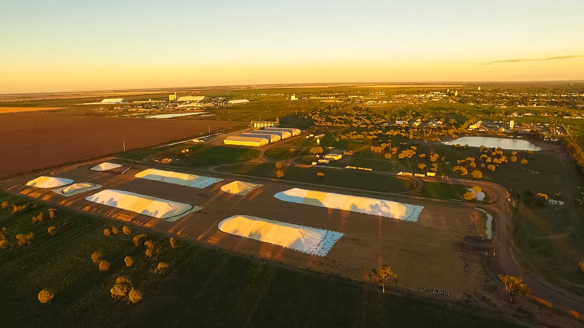 Gallery - CHS Broadbent