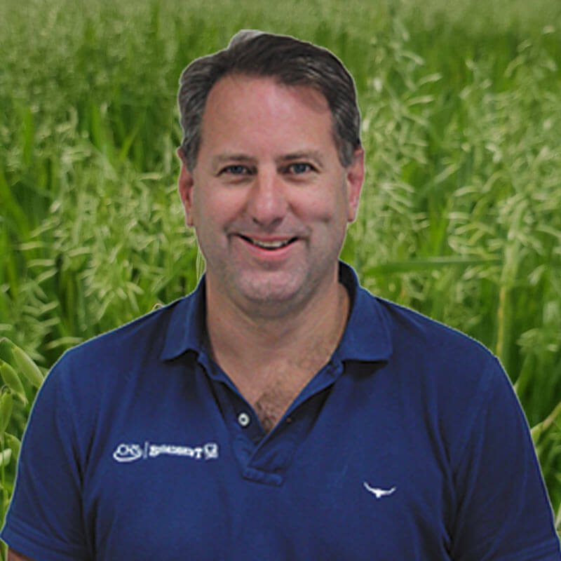 Grain Marketing Services - CHS Broadbent