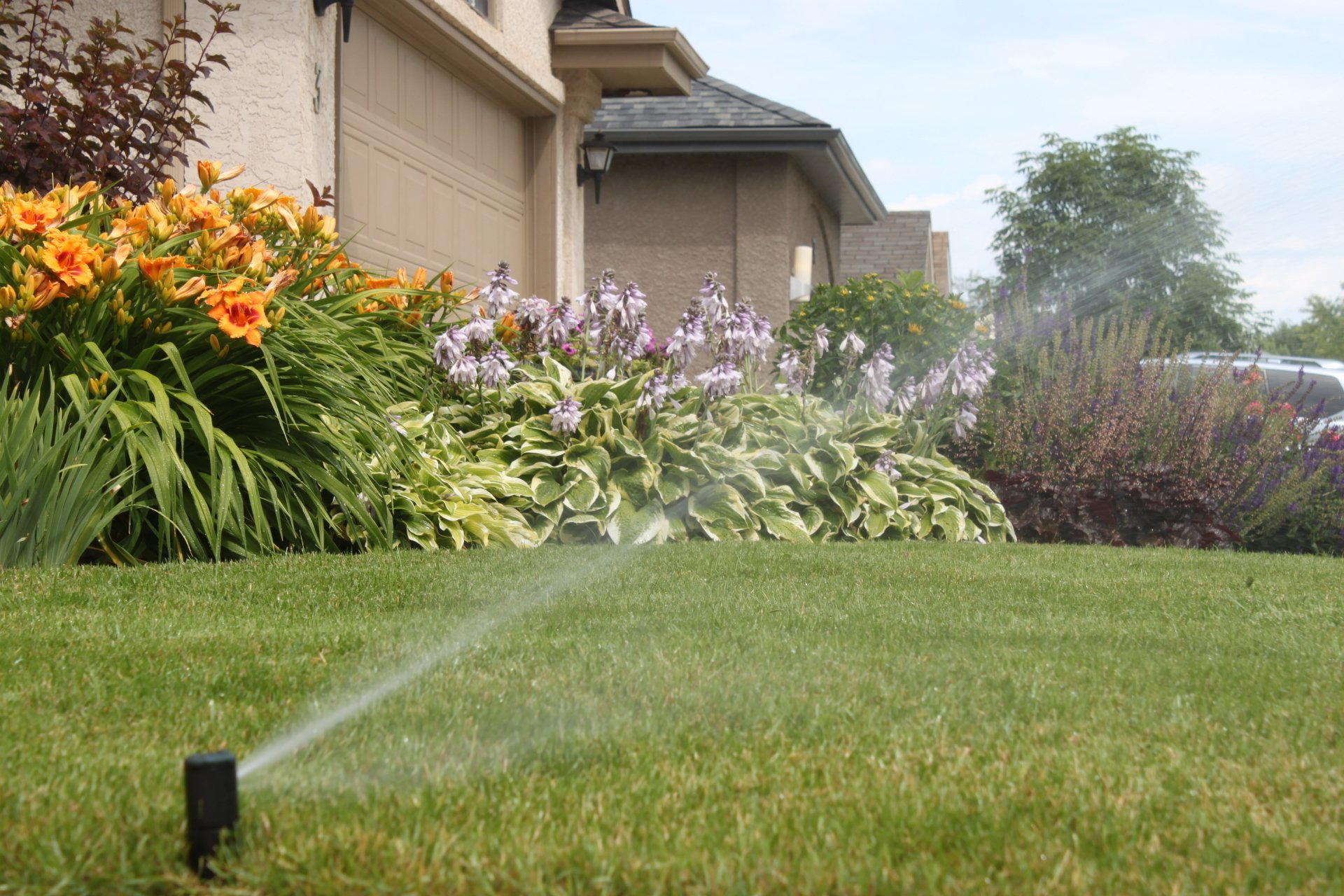 Sprinkler Irrigation Systems Winnipeg | Gallery