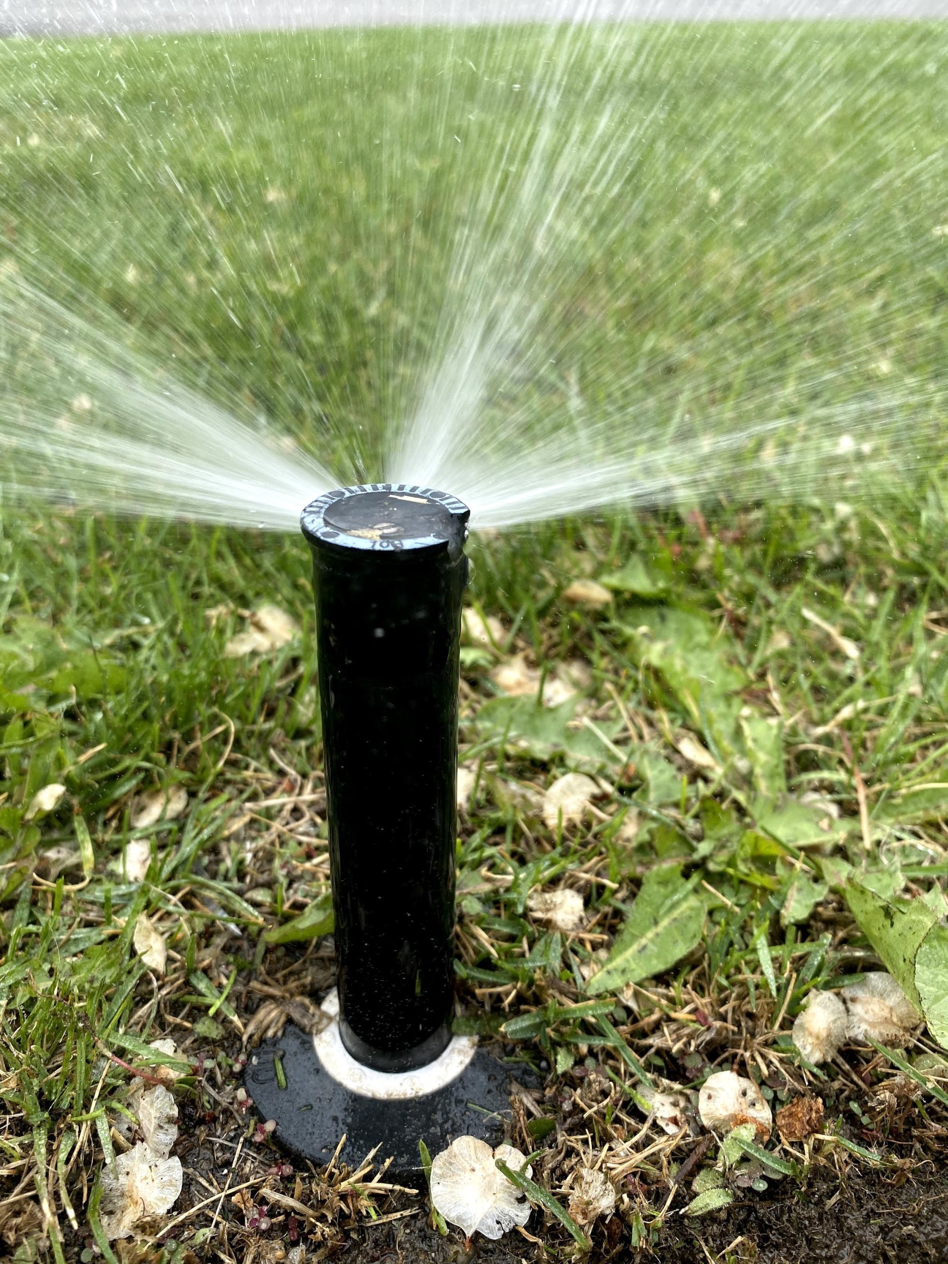 Utah's premier landscape company specializing in yard design, building ...