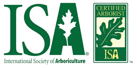 Tree Care | Panama City, FL | Arbor Tree Care