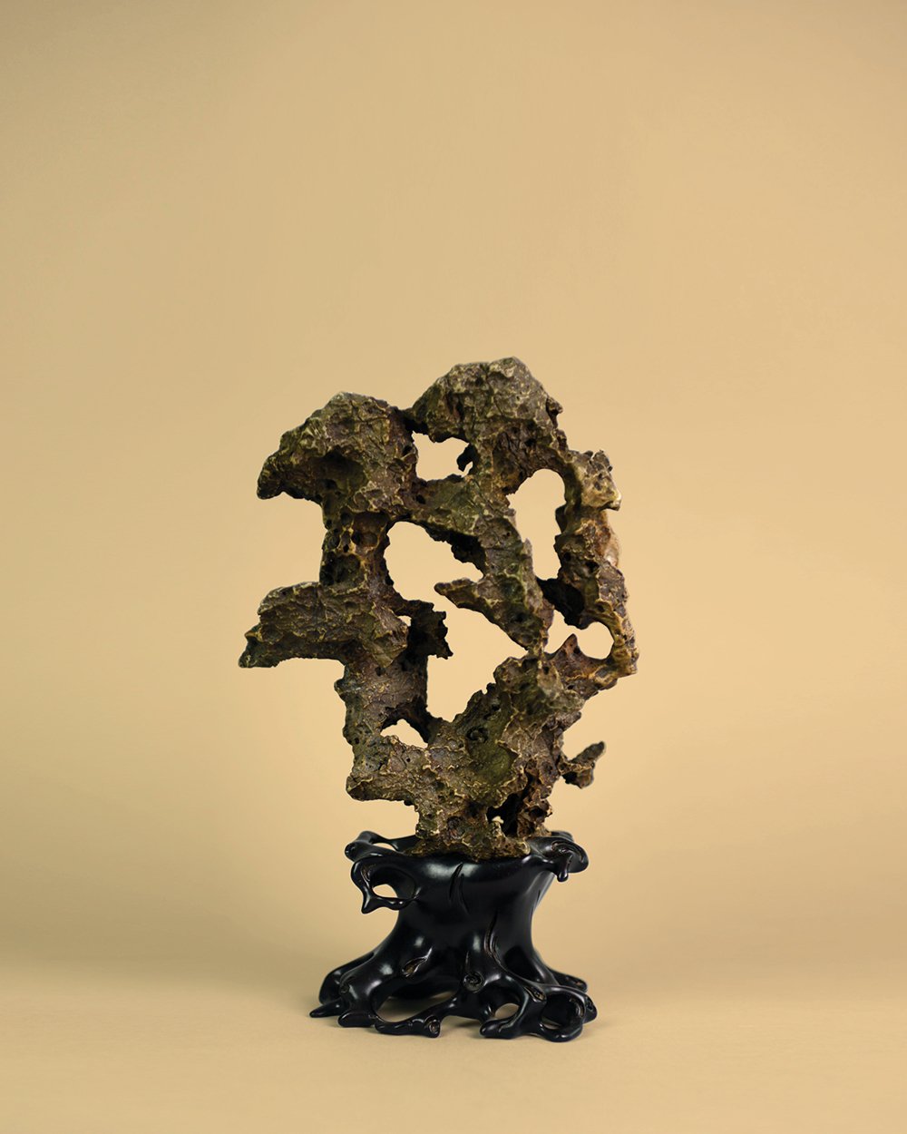 VSANA | Viewing Stone Appreciation | Suiseki