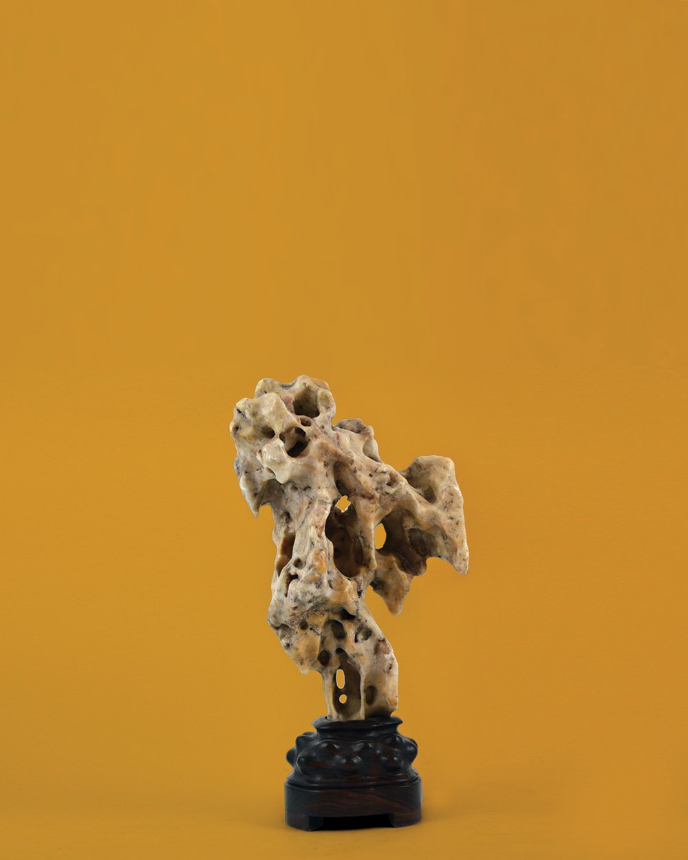 VSANA | Viewing Stone Appreciation | Suiseki