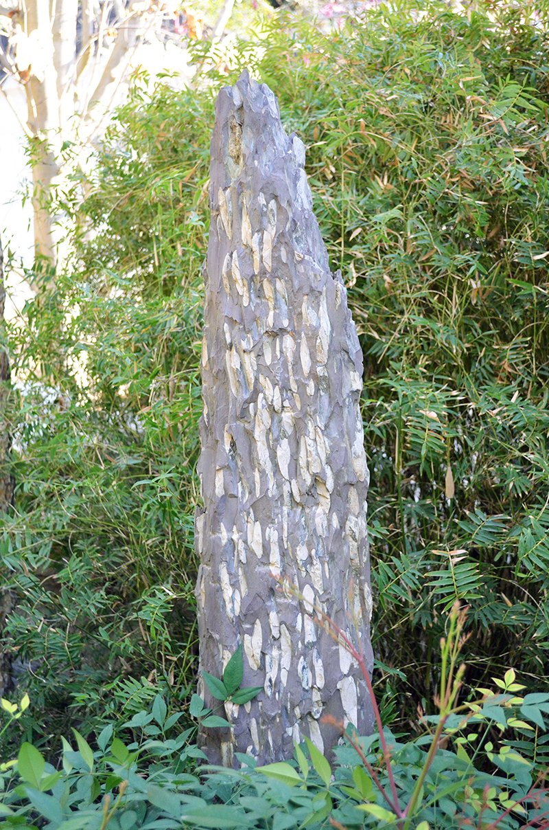 SoM 2012-08 | Bamboo Stones from Zhejiang Province | Viewing Stone ...