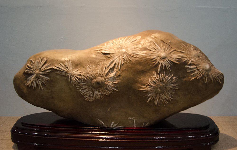 International Gallery of Viewing Stones | Viewing Stone Association