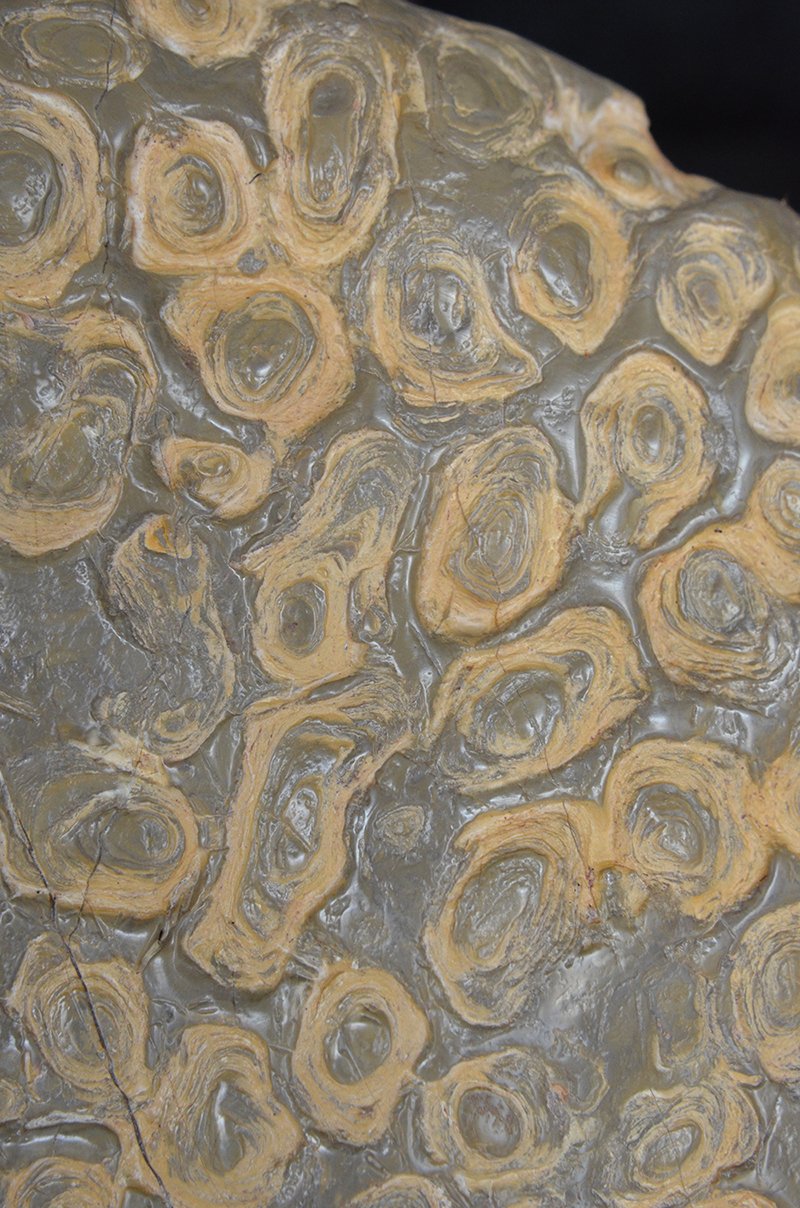 CHINA Stones of China | Viewing Stone Association of North America