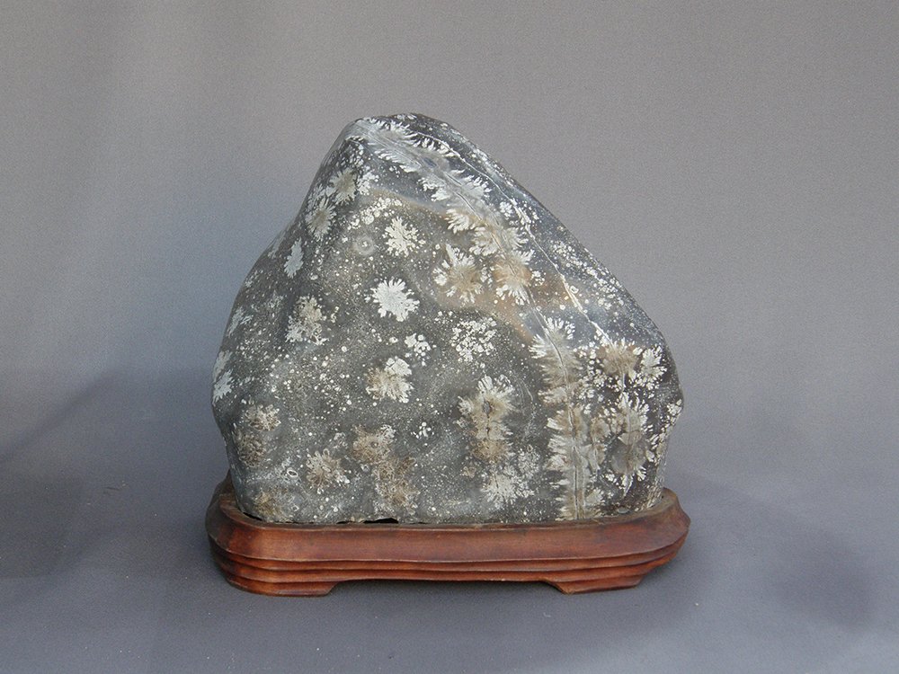 International Gallery of Viewing Stones | Viewing Stone Association