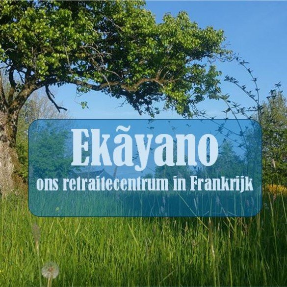 Ivar Mol, Dharma-Lotus locatie in Breda