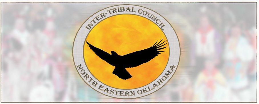 Home [pelivantransit.org]