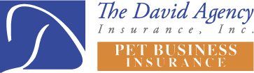 Insurance Services | The David Agency | Chicagoland